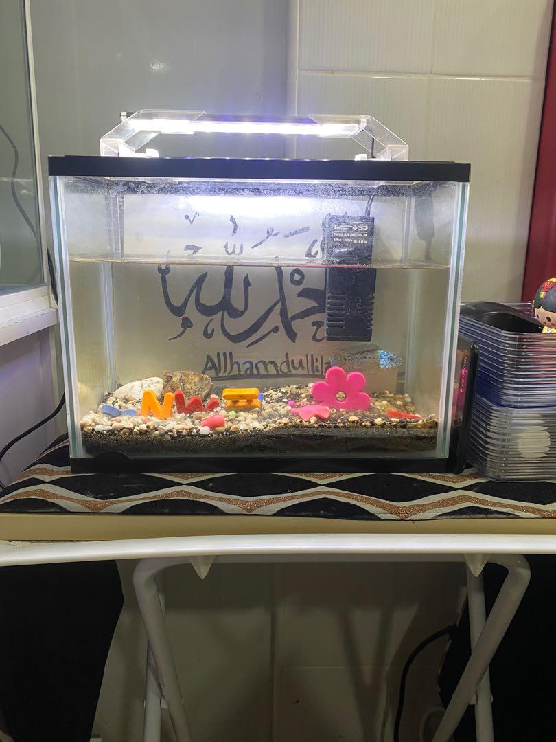 1 feet Fish tank, Pet Supplies, Homes & Other Pet Accessories on Carousell
