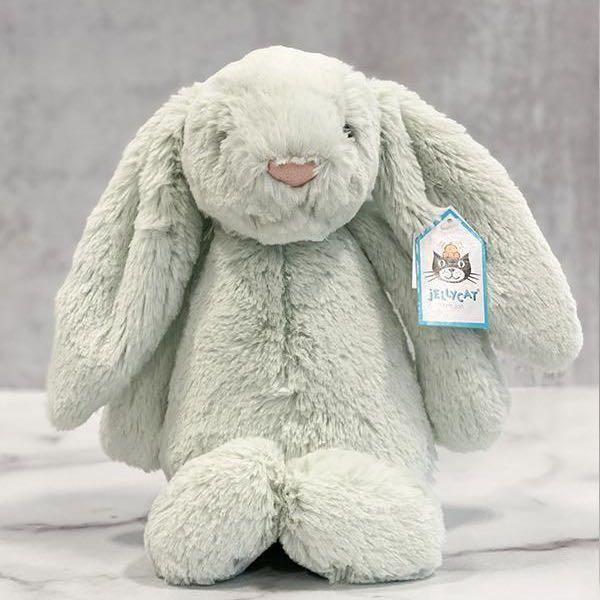 BNWT Jellycat Bashful Seaspray Bunny, Hobbies & Toys, Toys & Games on Carousell
