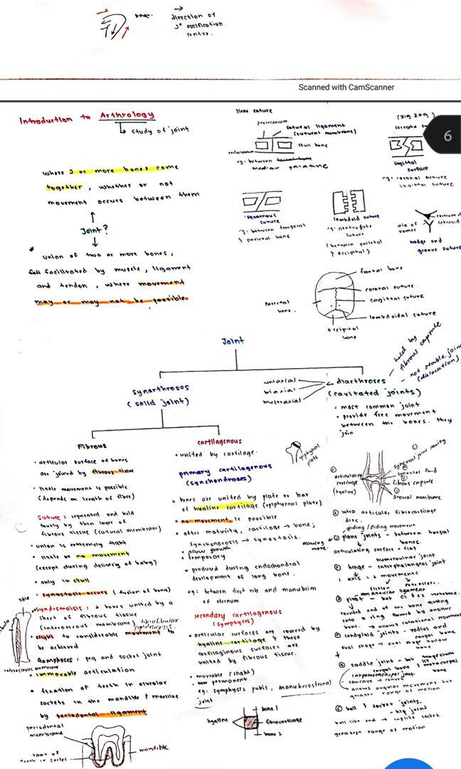 General Anatomy Handwritten Notes PDF For MBBS Hobbies Toys Books General Anatomy Handwritten Notes PDF For MBBS Hobbies Toys Books