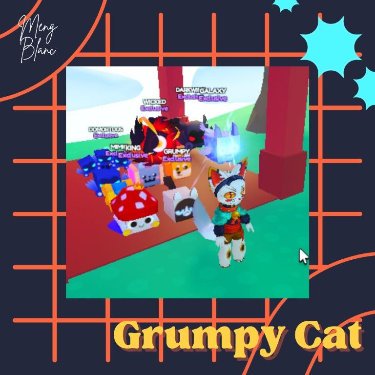 Pet Simulator X Grumpy Cat [READ DESCRIPTION], Video Gaming, Gaming ...