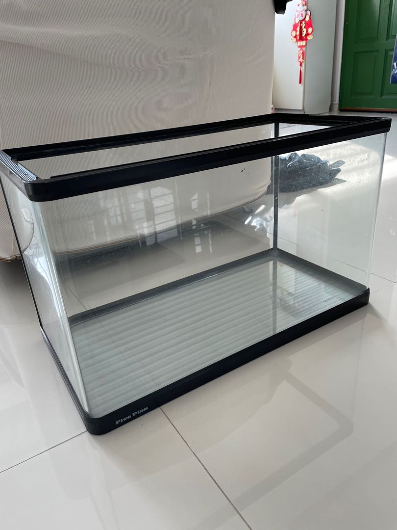 Five Plan 2 fts fish plastic rim tank, Pet Supplies, Homes & Other Pet ...