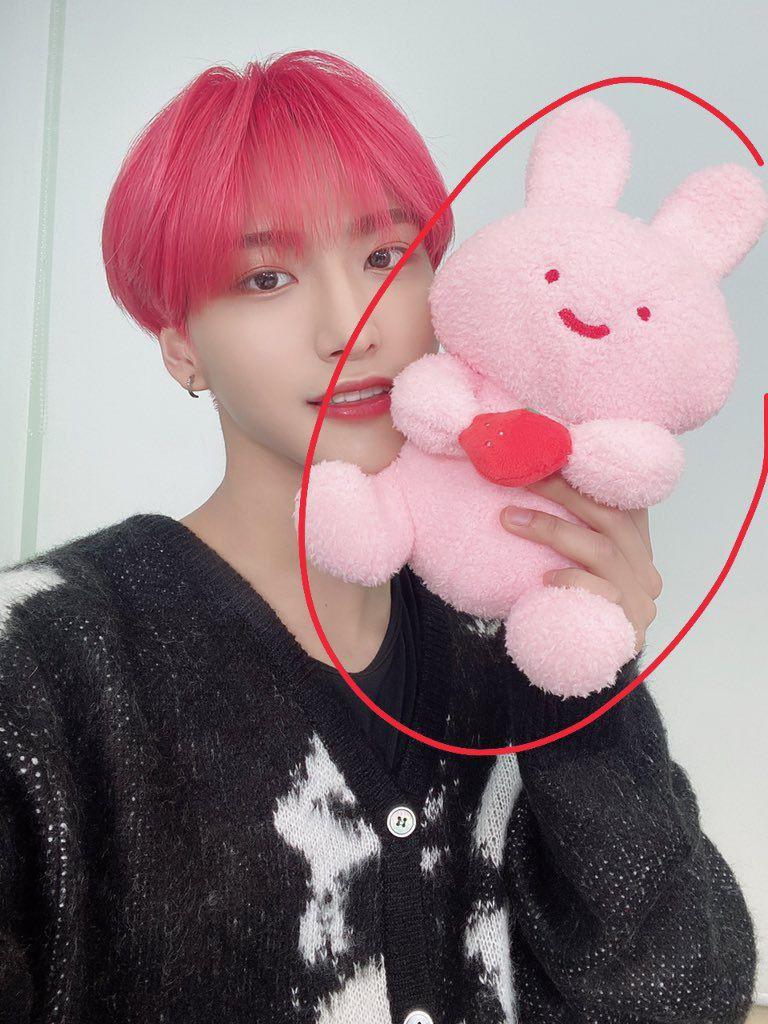 Ateez Seonghwa Pink Rabbit Plushie Butter, Hobbies & Toys, Collectibles ...