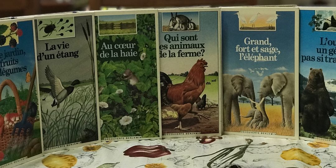 Set of 6 General knowledge books in French., Hobbies & Toys, Books ...