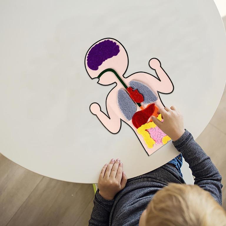 Felt DIY Human Anatomy Organs Parts of the Digestive System / PArts of ...