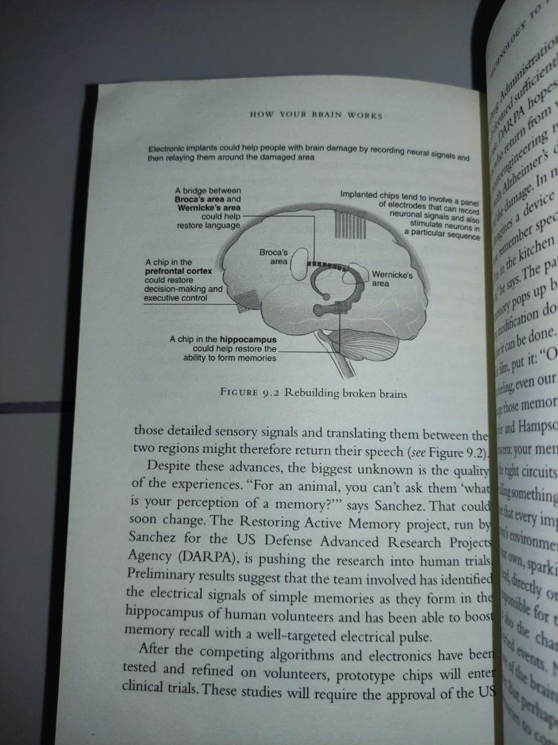 How your brain works, Hobbies & Toys, Books & Magazines, Children's ...