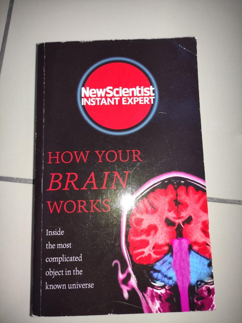 How your brain works, Hobbies & Toys, Books & Magazines, Children's ...