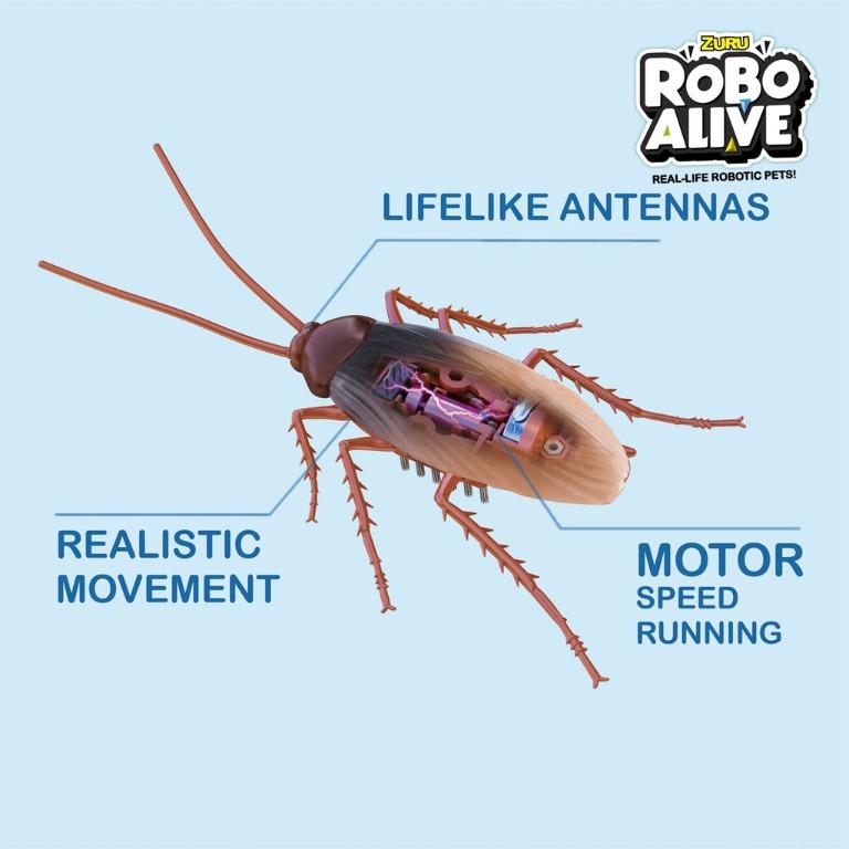 Robo Alive Crawling Cockroach Battery-Powered Robotic Toy by ZURU ...