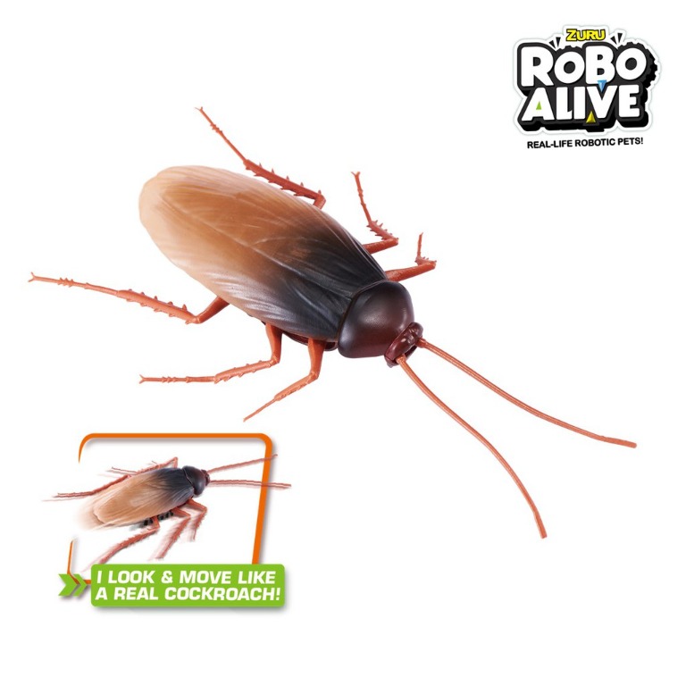 Robo Alive Crawling Cockroach Battery-Powered Robotic Toy by ZURU ...