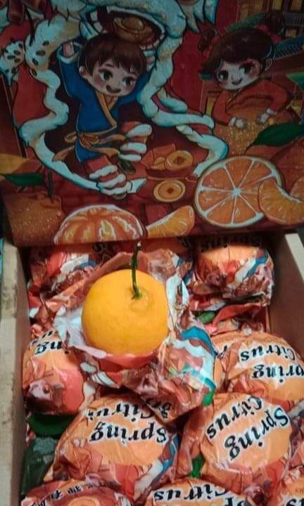 China Ugly Ponkan 20pcs, Food & Drinks, Fresh Produce on Carousell