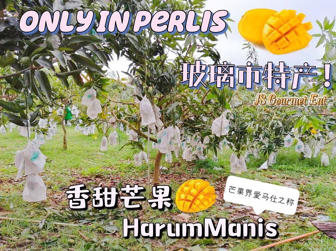 Harum manis (mango)frm Perlis, Food & Drinks, Fresh Produce on Carousell