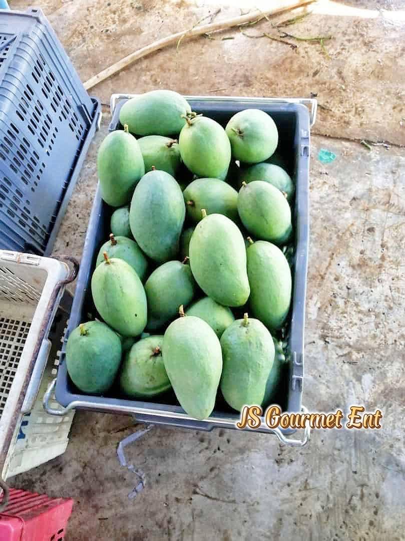 Harum manis (mango)frm Perlis, Food & Drinks, Fresh Produce on Carousell