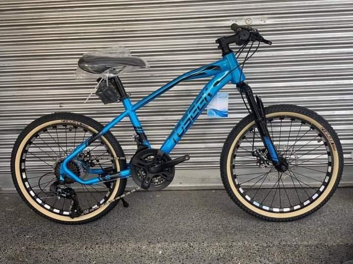 TOSEEK Brandon mini (steel frame) SIZE 20er MOUNTAIN BIKE, Sports ...