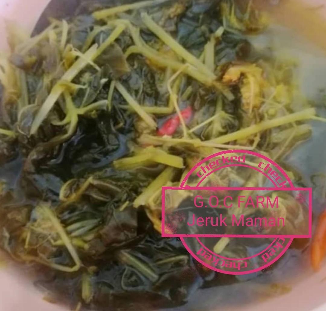 Daun Maman segar, Furniture & Home Living, Gardening, Plants & Seeds on ...