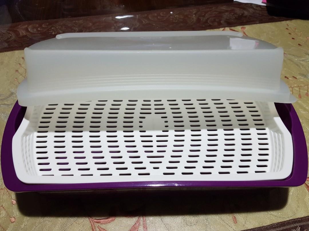 Tupperware Server Container with filter, Furniture & Home Living ...