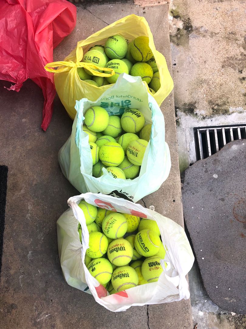 100 tennis balls for $20, Sports Equipment, Sports & Games, Racket ...