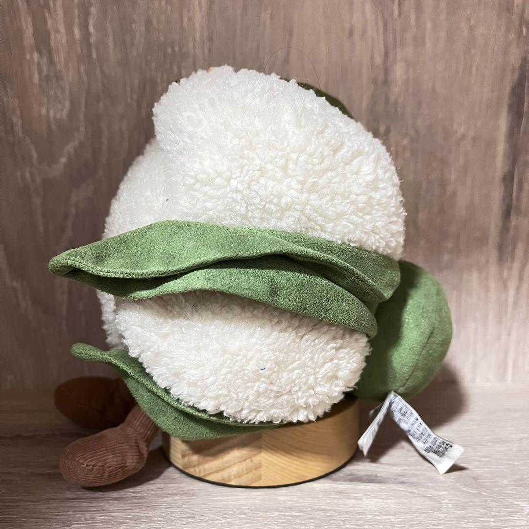 Jellycat Amuseable Broccoli | Amuseable Cauliflower, Hobbies & Toys ...