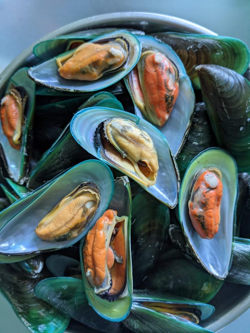 Live Mussles from Local Farm, Food & Drinks, Fresh Produce on Carousell