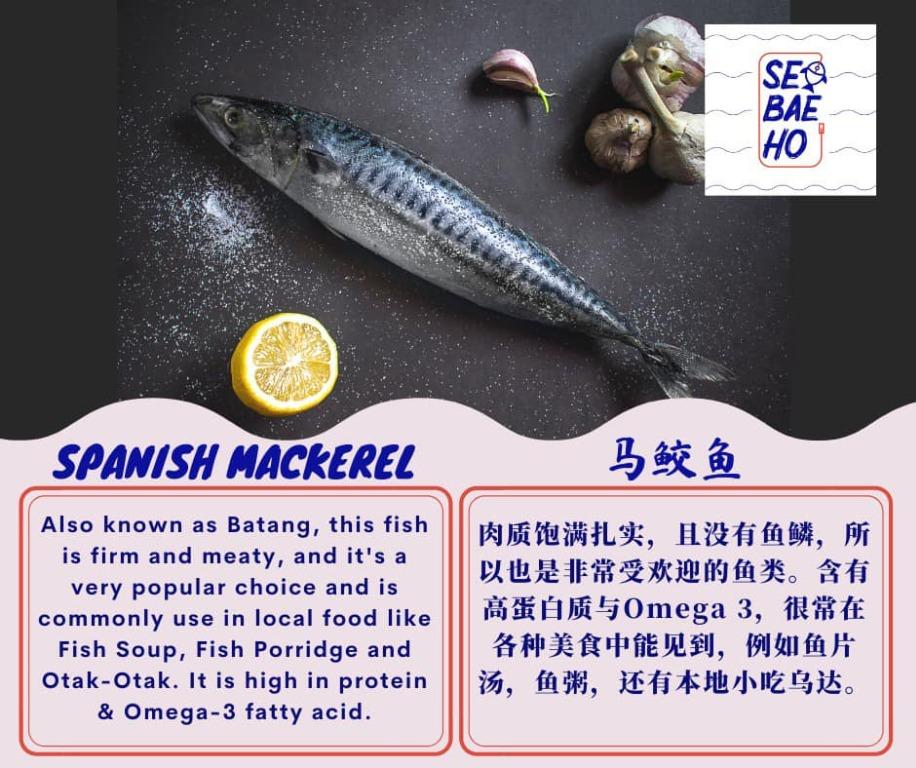 Batang Fish, Food & Drinks, Chilled & Frozen Food on Carousell