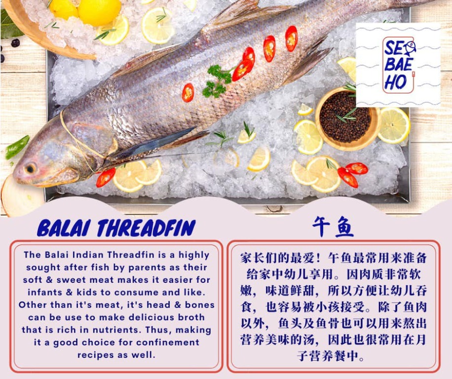 Threadfin Fish (Balai), Food & Drinks, Chilled & Frozen Food on Carousell