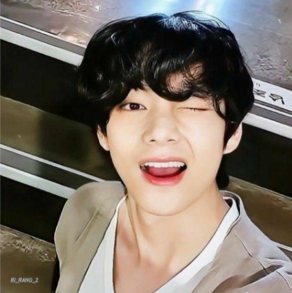 V 20cm BTS Doll - Winking Tiger Taehyung Doll, Hobbies & Toys ...