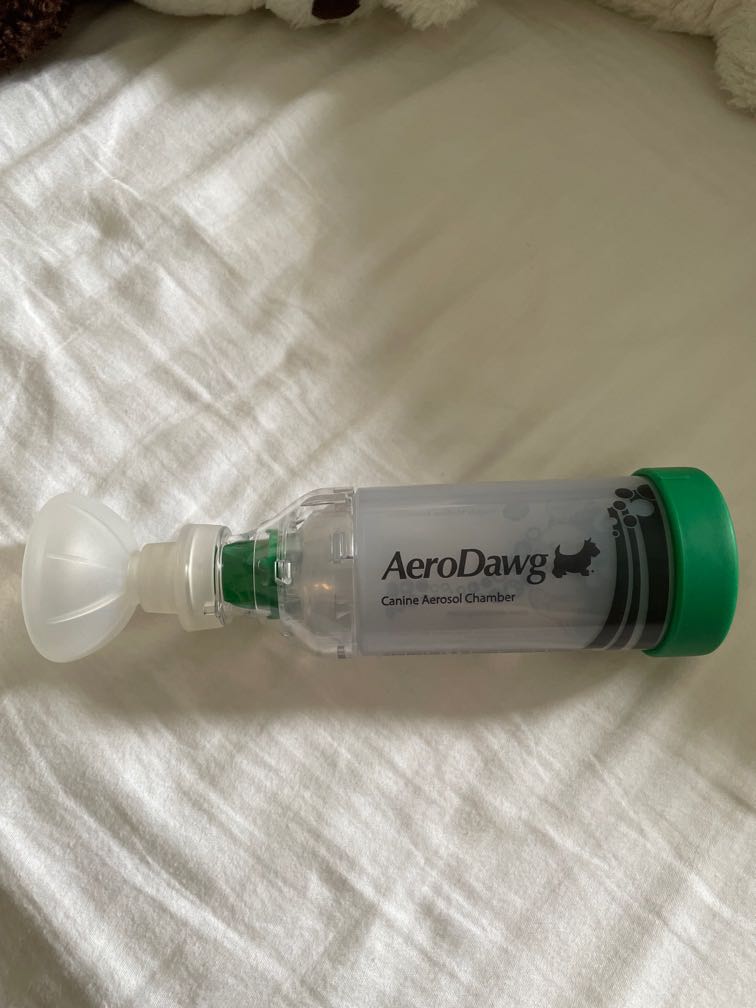 Aerodawg canine aerosol chamber (inhaler), Pet Supplies, Homes & Other ...