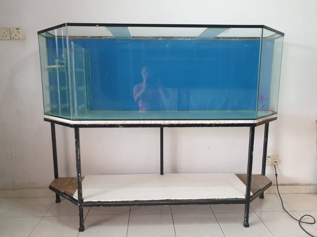 BIG FISH TANK (6ft see dimensions in pic) CHEAPEST (CLEARANCE), Pet ...