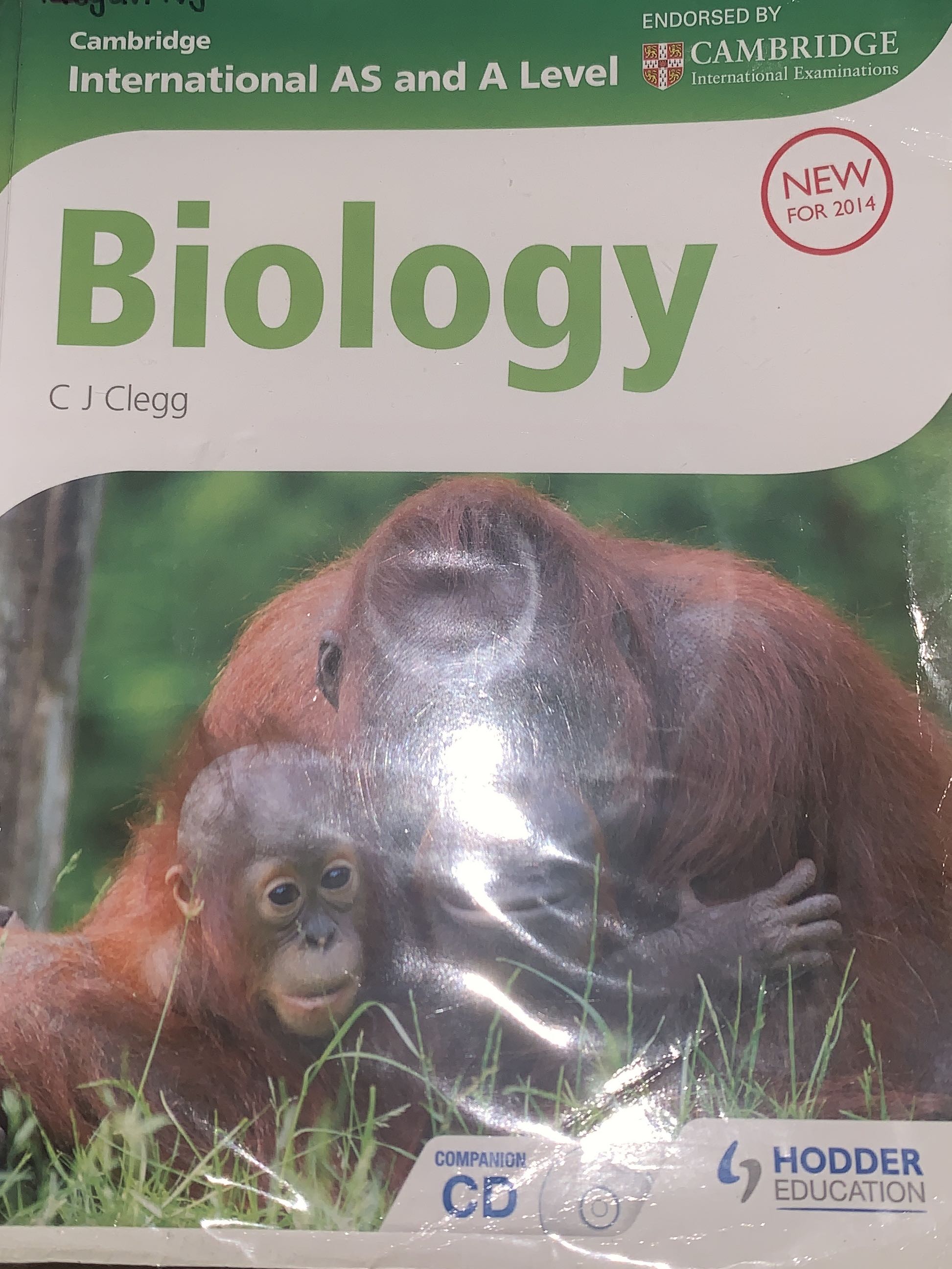 Cambridge A level Biology Textbook, Hobbies & Toys, Books & Magazines ...