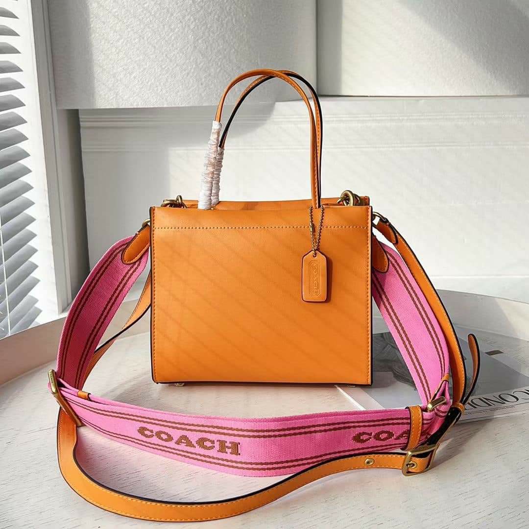 Coach Cashin Carry Tote 22, Women's Fashion, Bags & Wallets, Cross-body ...