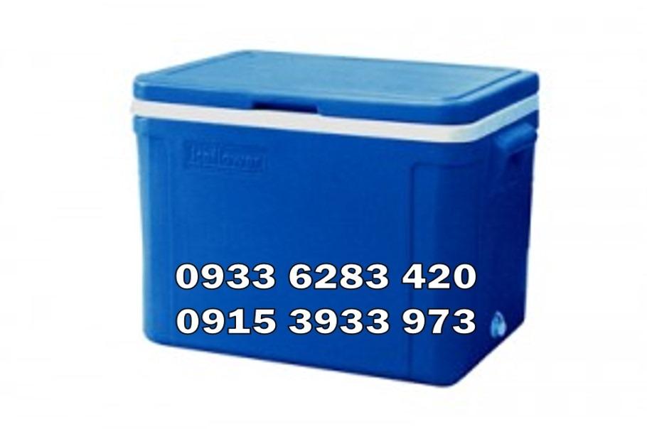 COOLER BOX, Furniture & Home Living, Kitchenware & Tableware, Food ...
