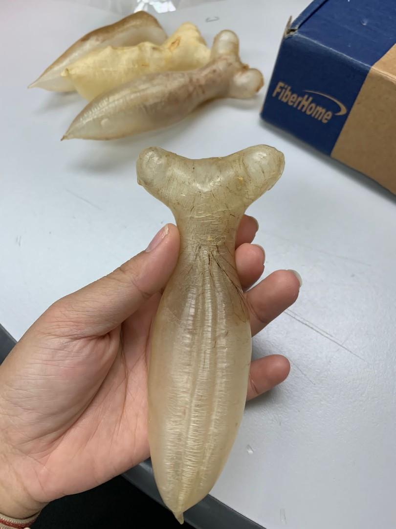 Spider Fish Maw - Tirusan, Food & Drinks, Chilled & Frozen Food on ...