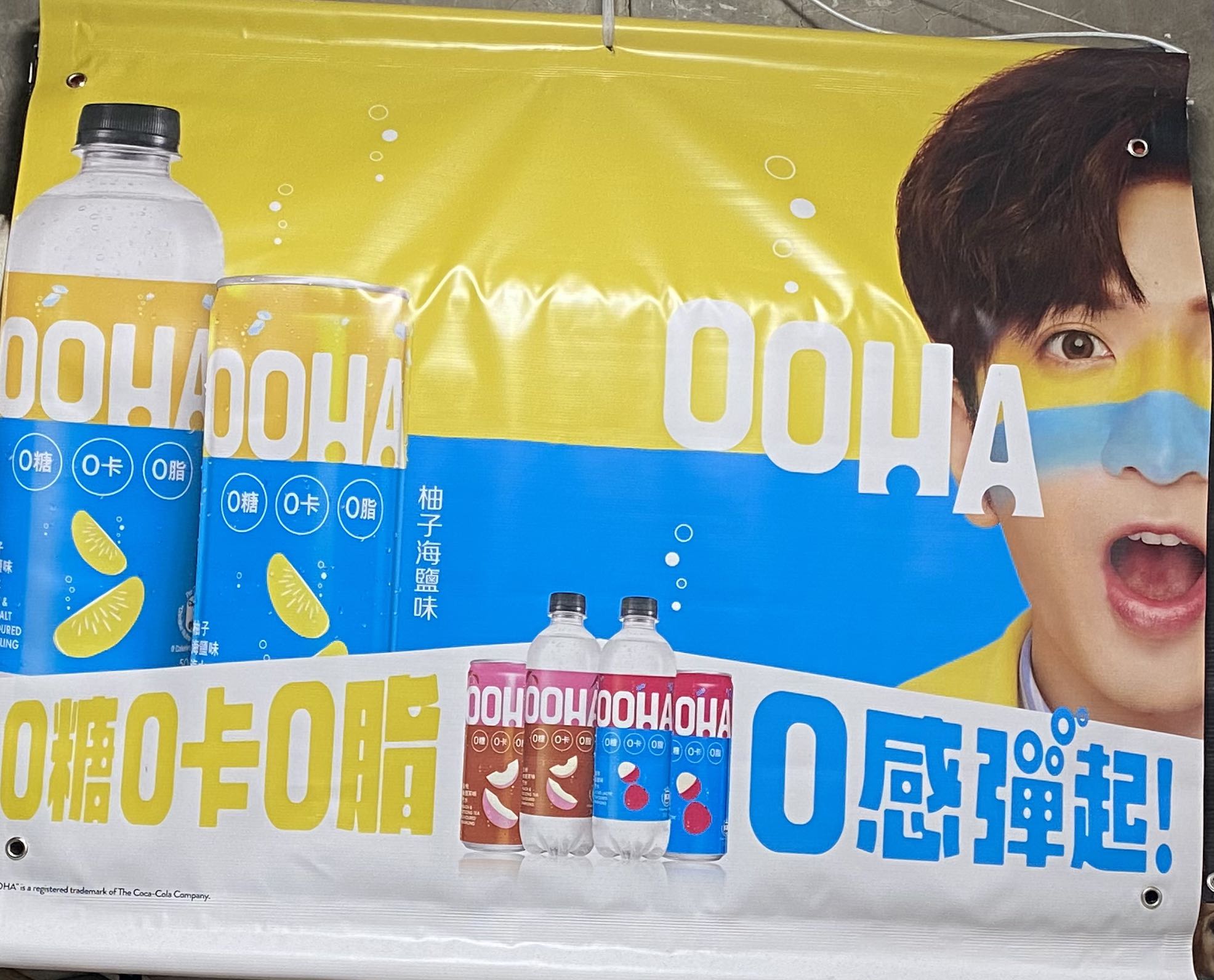 Anson Lo banner, 興趣及遊戲, 收藏品及紀念品, 明星周邊 - Carousell