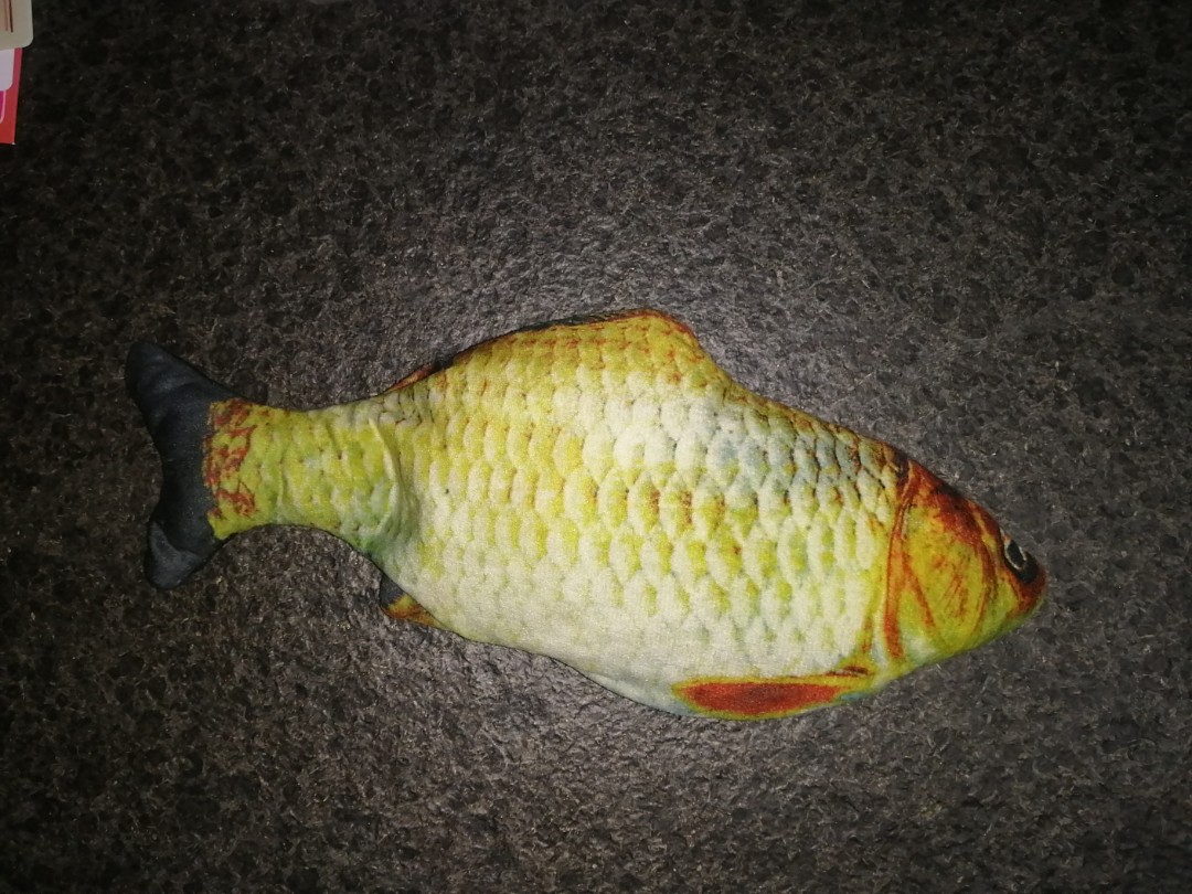 Flapping fish, Hobbies & Toys, Toys & Games on Carousell