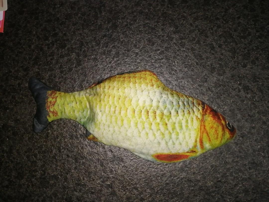 Flapping fish, Hobbies & Toys, Toys & Games on Carousell