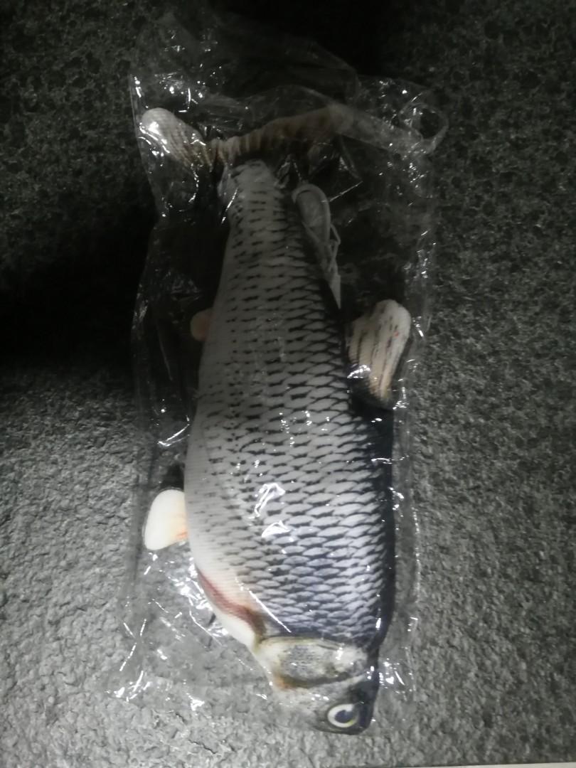 Flapping fish, Hobbies & Toys, Toys & Games on Carousell