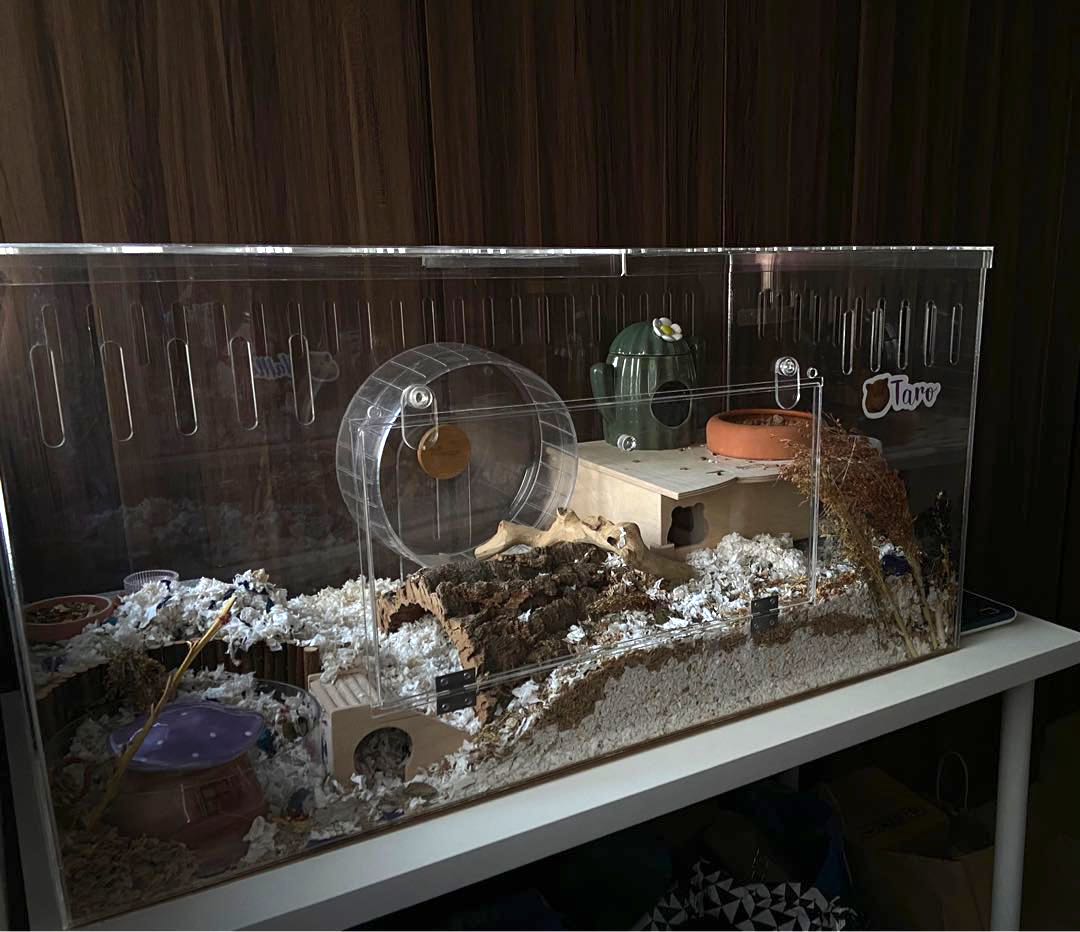 Hamster Acrylic Cage 100cm, Pet Supplies, Homes & Other Pet Accessories ...
