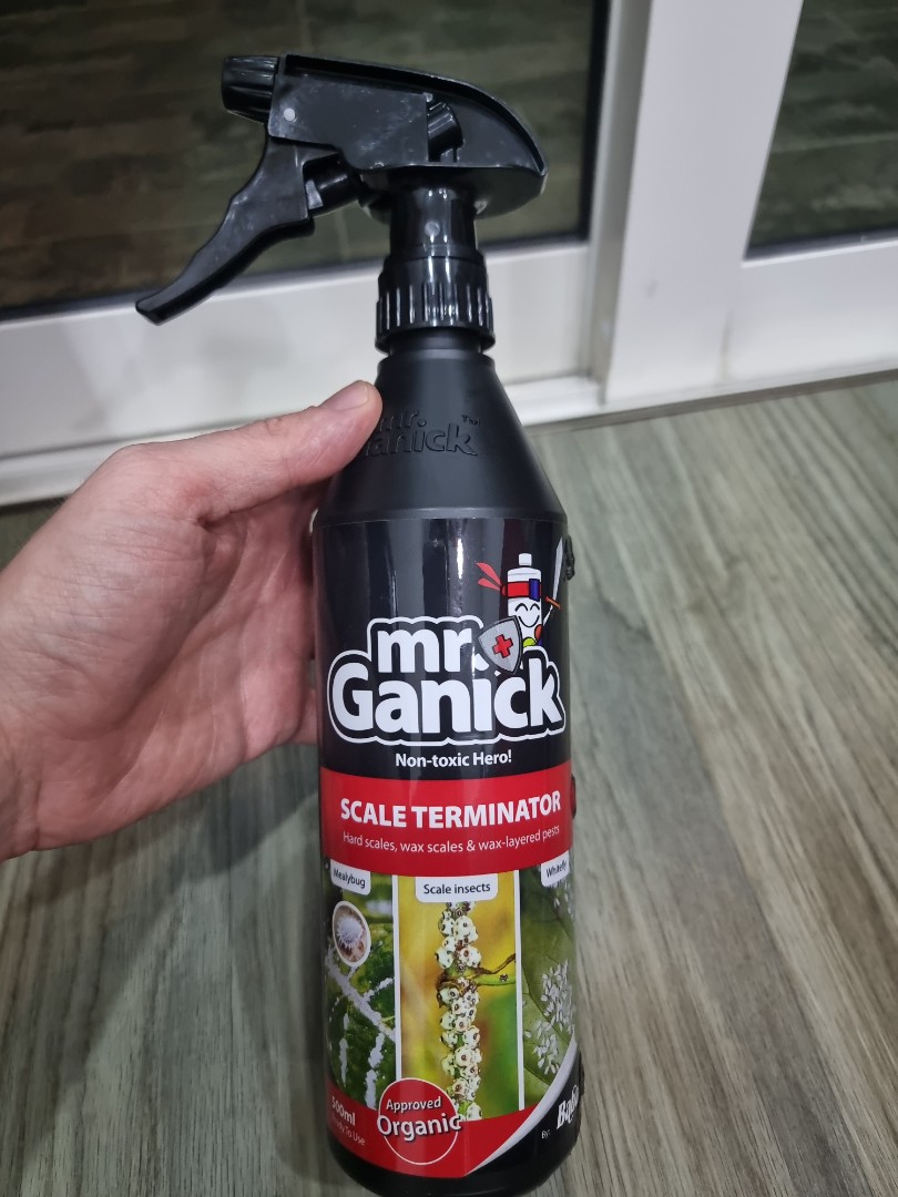 Mr Ganick. Scale Terminator, Everything Else on Carousell