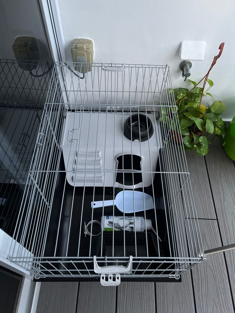 New rabbit cage with oxbow Timothy hay and tidbits, Pet Supplies, Homes ...