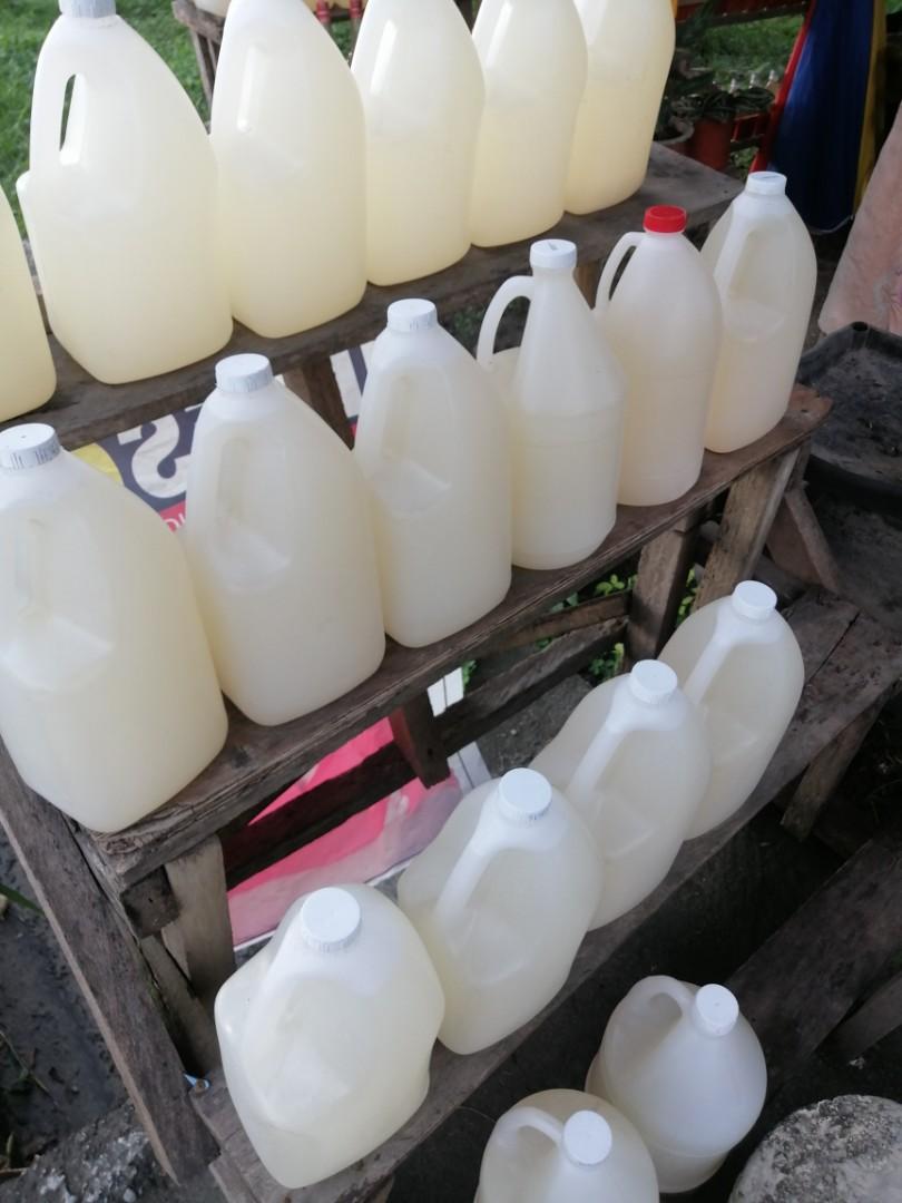 Pure Suka tuba| coconut vinegar 1Gallon, Looking For on Carousell