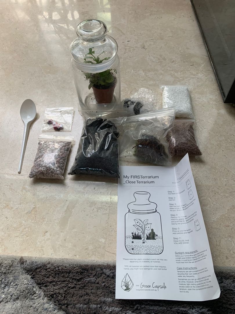 Terrarium Kit, Hobbies & Toys, Toys & Games on Carousell