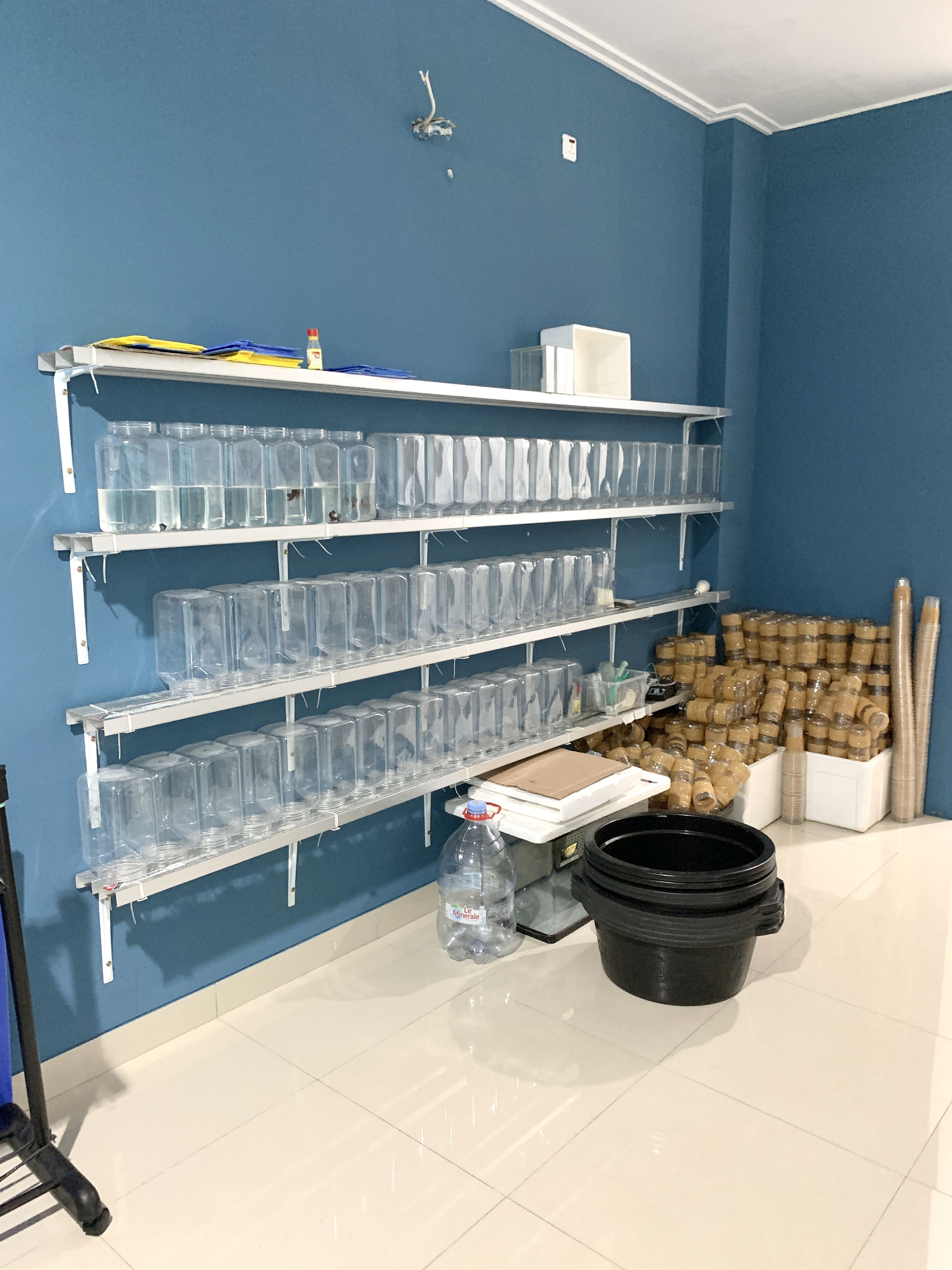 JUAL MURAH Rak Toples Botol dan Ember semua 1Set untuk Rak ikan ...