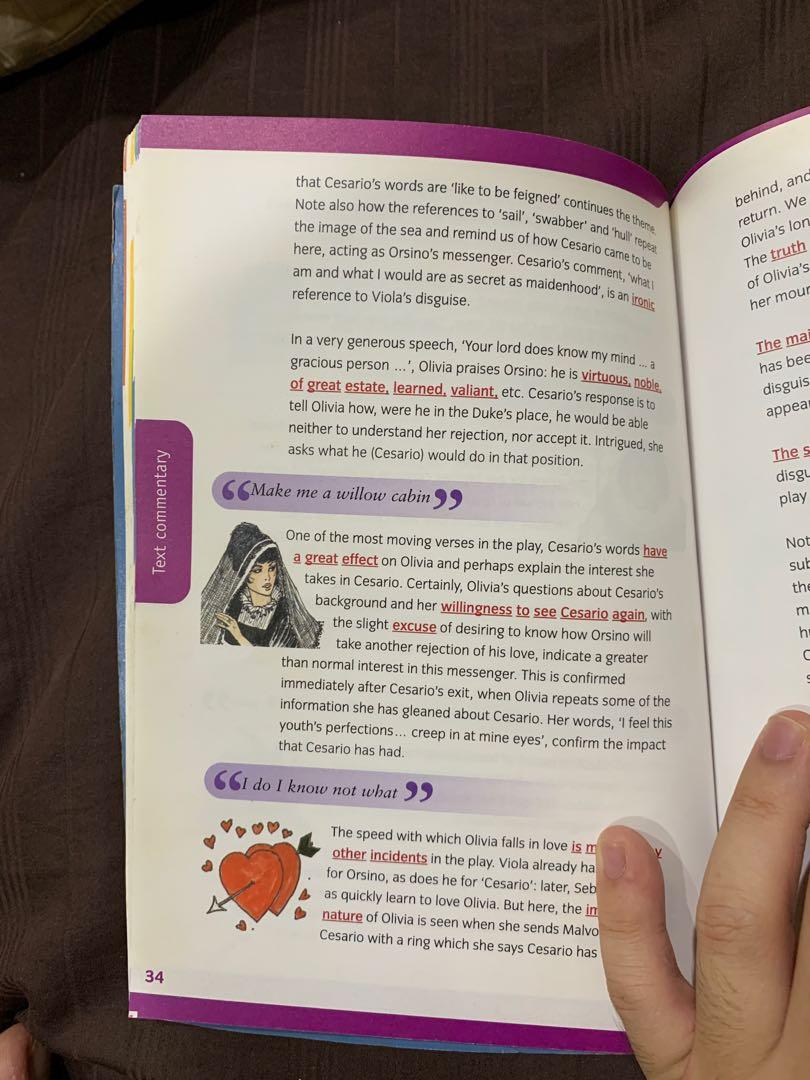 Twelfth Night Literature Guide, Hobbies & Toys, Books & Magazines ...