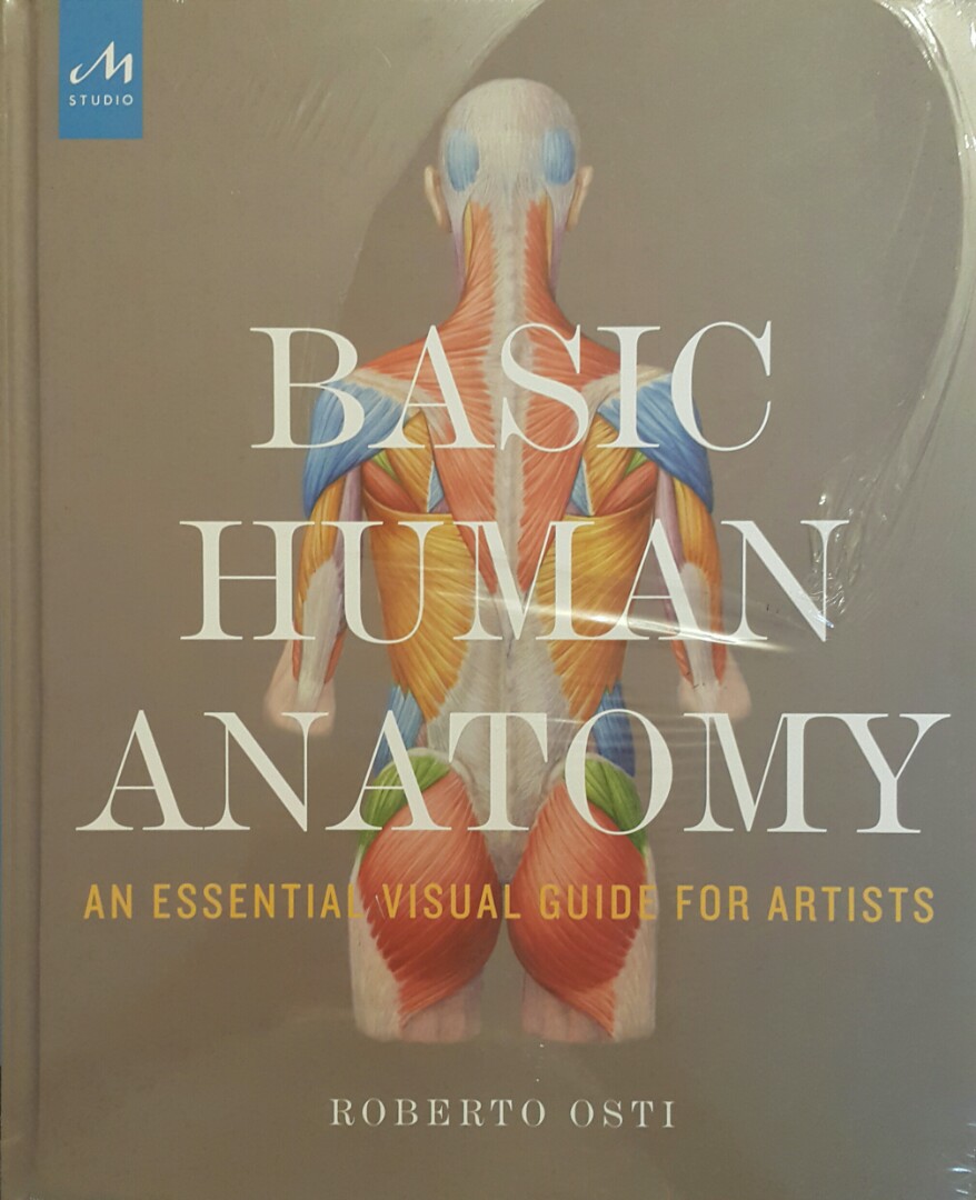 Basic Human Anatomy : An Essential Visual Guide For Artists, 興趣及遊戲, 書本 ...