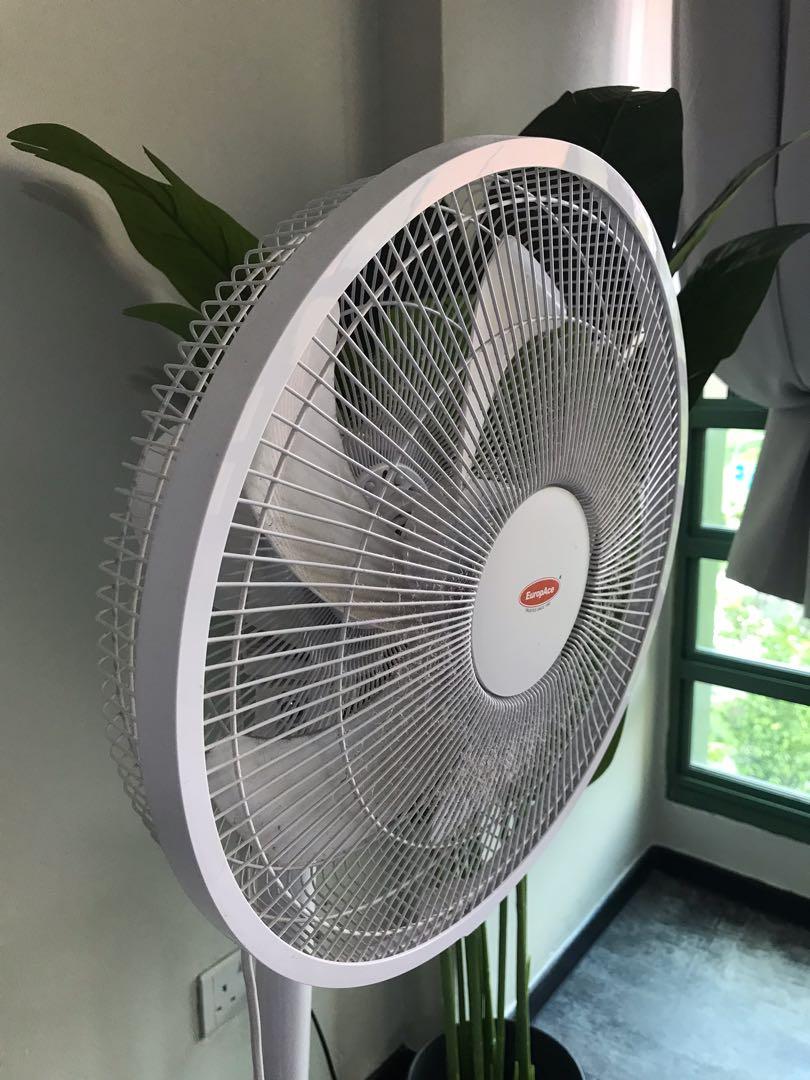 Europace . 14" standing fan . 5 blade., Furniture & Home Living ...