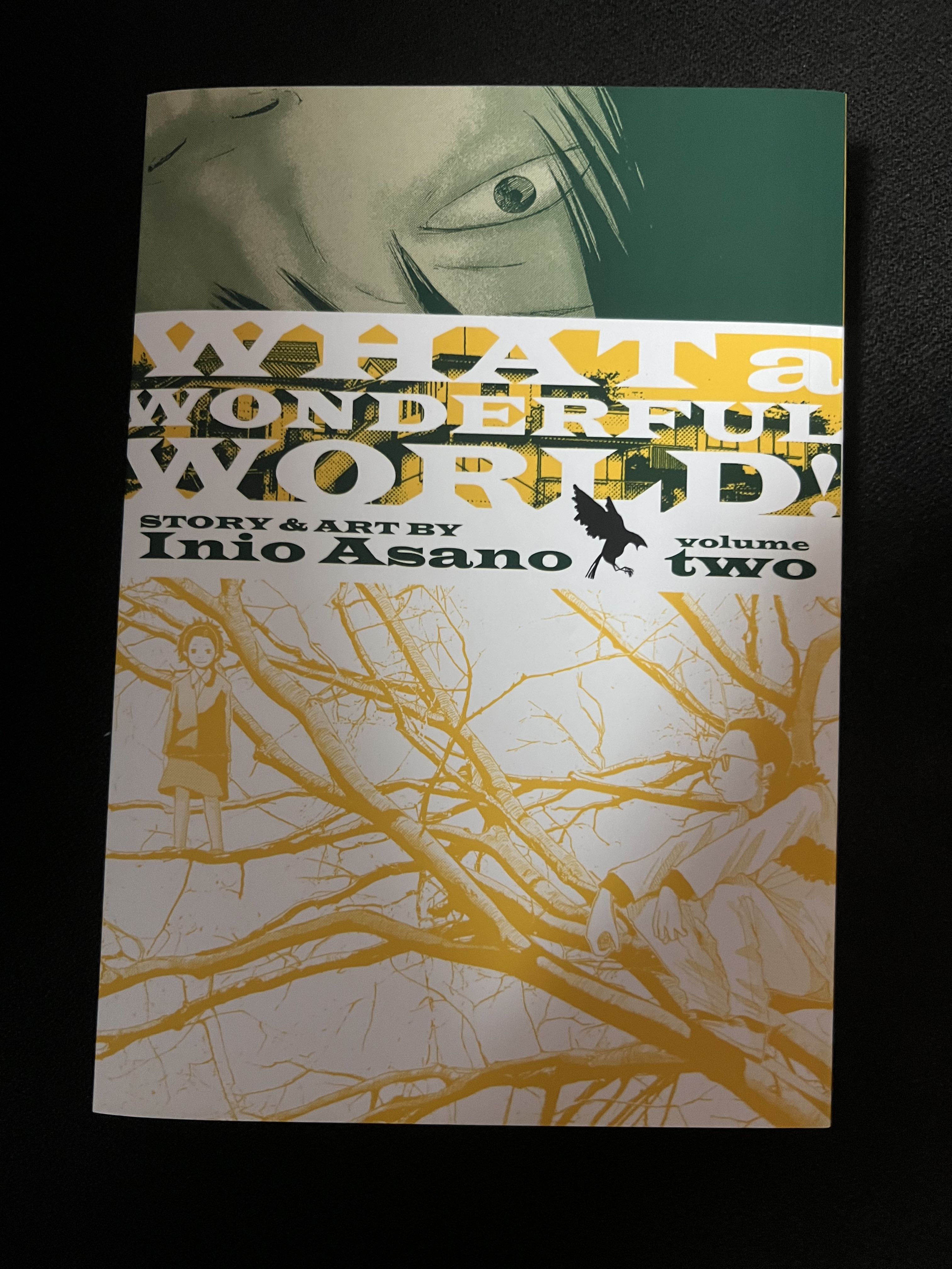 Inio Asano Manga OUT OF PRINT EDITION, Hobbies & Toys, Books ...