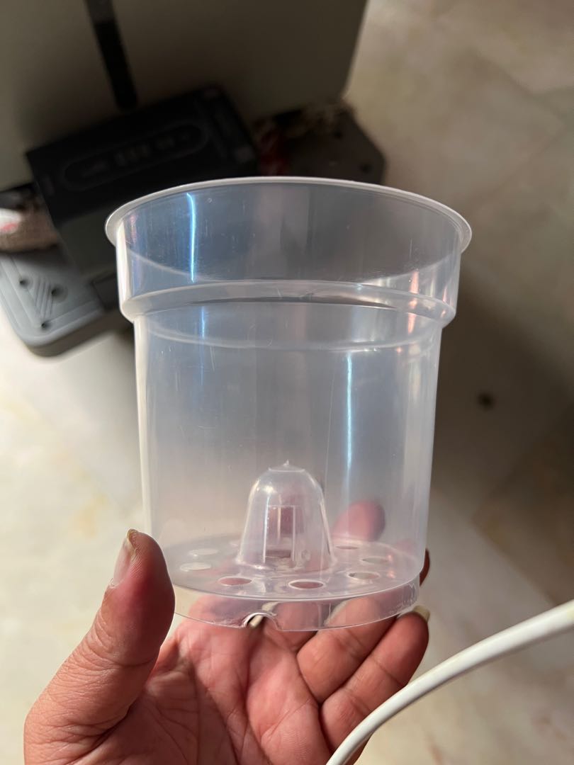 Plastic transparent / clear pot, Furniture & Home Living, Gardening ...