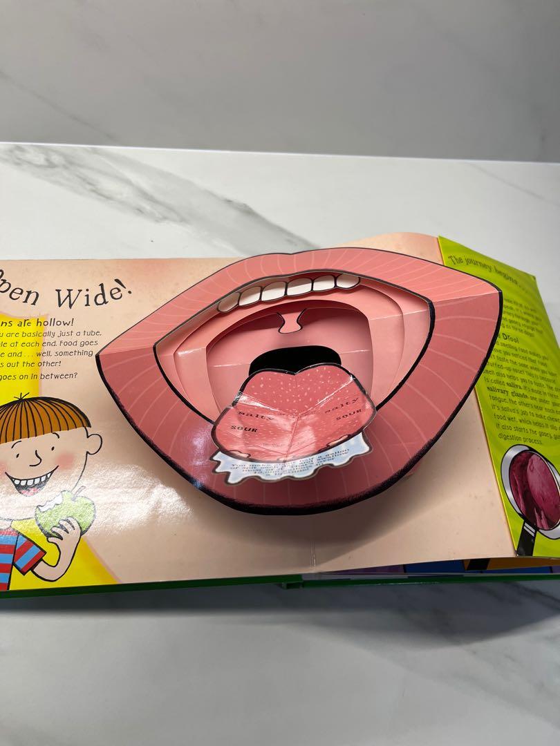 FANTASTIC POP UP BOOK ON THE DIGESTIVE SYSTEM, Hobbies & Toys, Books ...