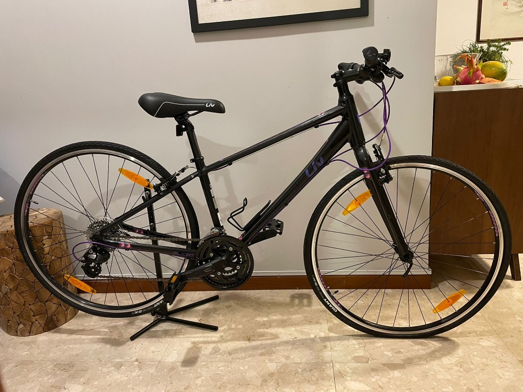 Giant Liv Alight 1 Shimano 24 Speed Tektro Hydraulic Disc Brake Hybrid ...