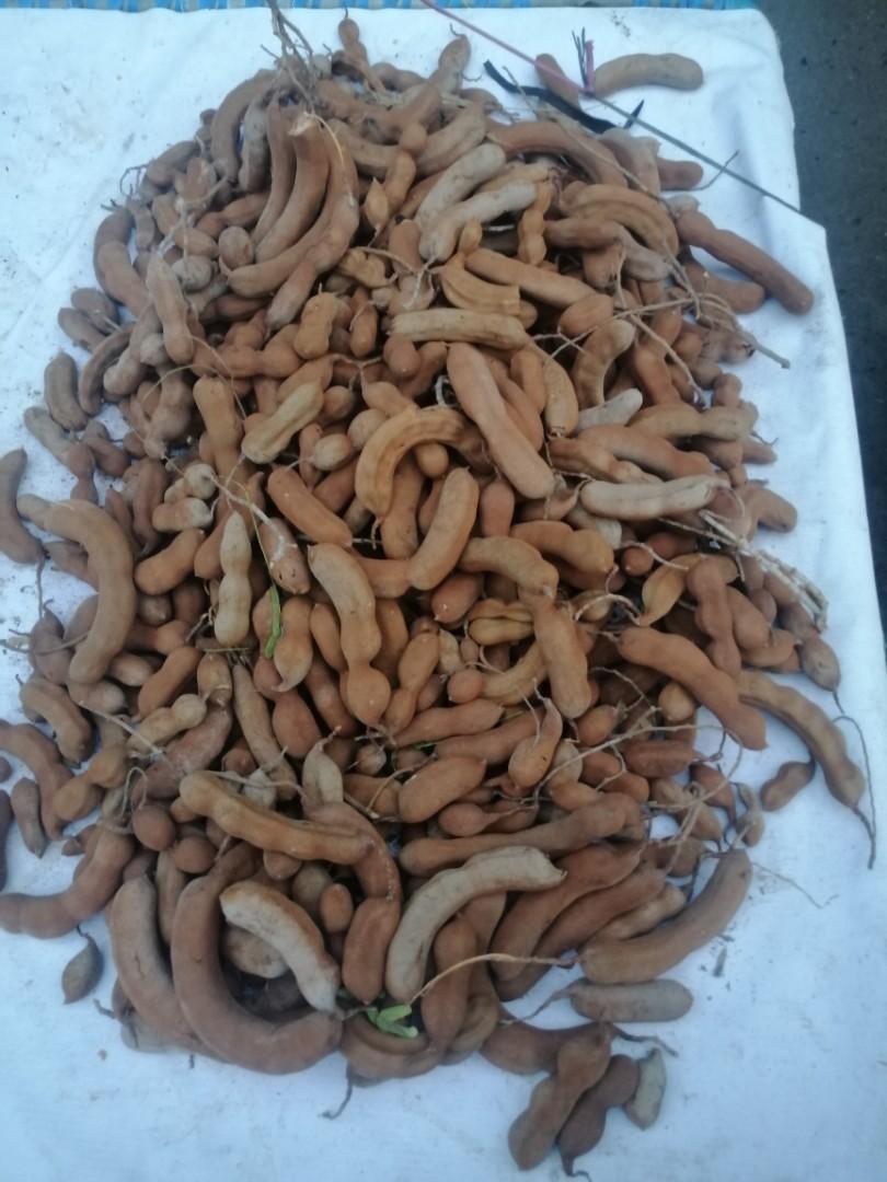 Sampalok, Food & Drinks, Local Eats on Carousell