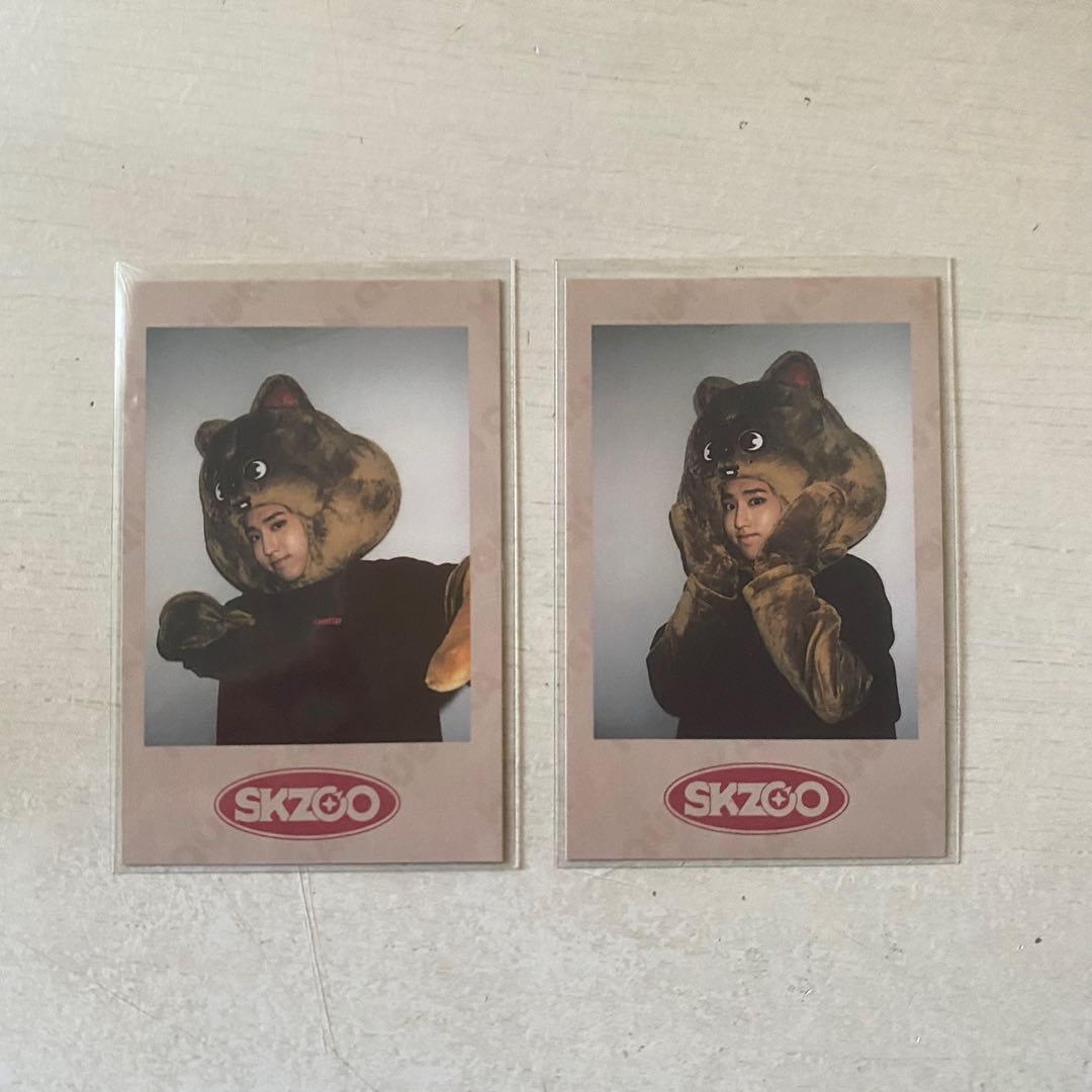 WTS stray kids han quokka skz skzoo pola pc, Hobbies & Toys ...