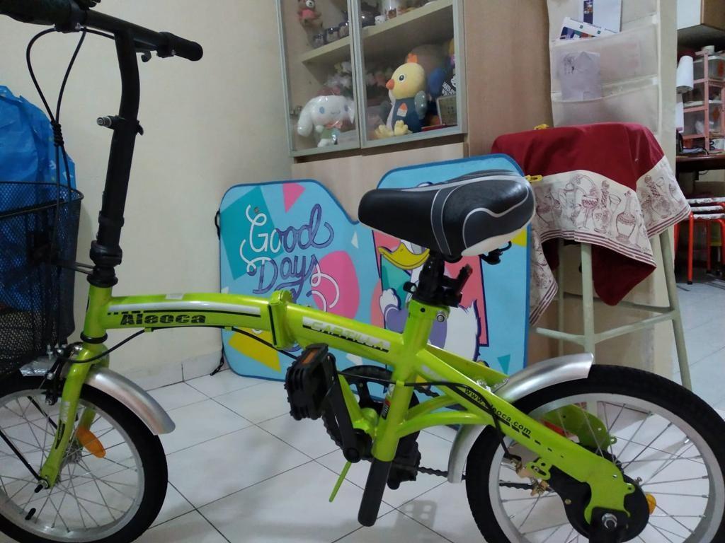 ALEOCA 16IN CARTILLA FOLDING BIKE(GREEN), Sports Equipment, Bicycles ...